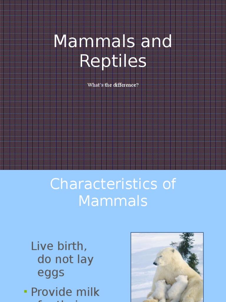 Mammals vs. Reptiles for Kids | PDF | Home & Garden | Wellness