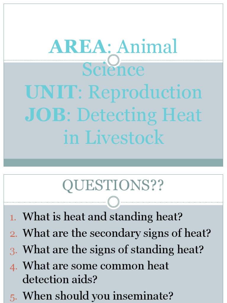 Livestock Heat Detection Guide | PDF | Cattle | Animals And Humans