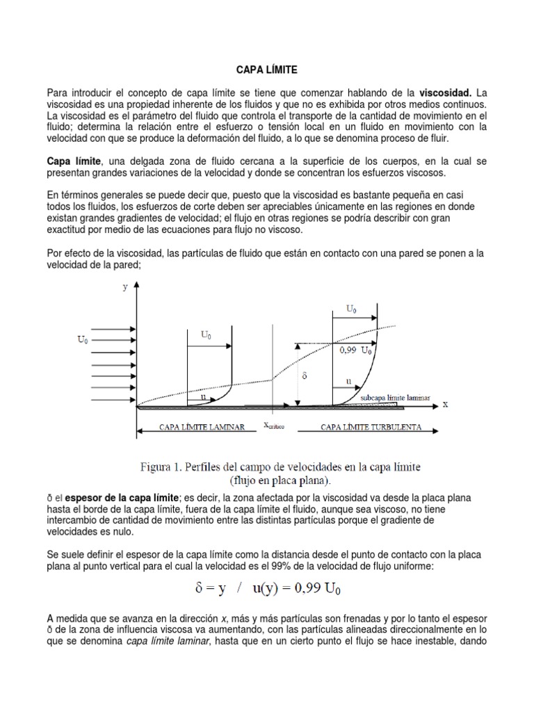 Capa Limite | PDF | Viscosidad | Capa límite
