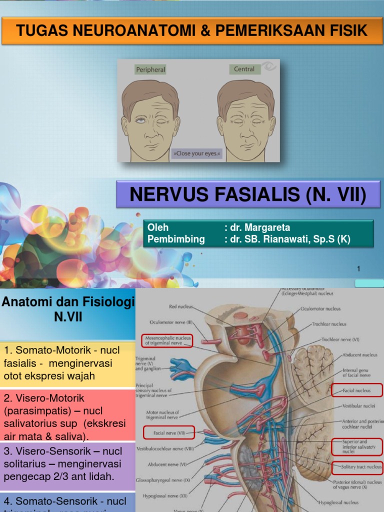 Anatomi dan Pemeriksaan Nervus VII | PDF