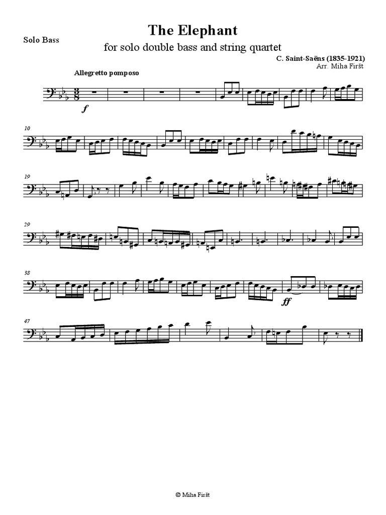 Elephant From The Carnival of The Animals For Double Bass and String ...
