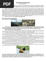 All Wolf Ranks - Powerful Wolves PDF | PDF | Pack (Canine)