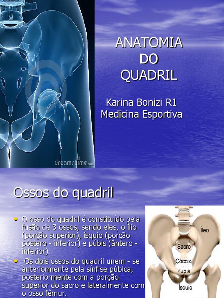 Anatomia Do Quadril | PDF | Membros (anatomia) | Sistema Locomotor