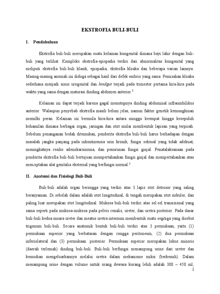 Ekstrofia Buli Buli | PDF