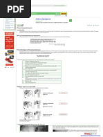 Sitting Balance Test Guide | PDF | Shoulder | Anatomical Terms Of Motion
