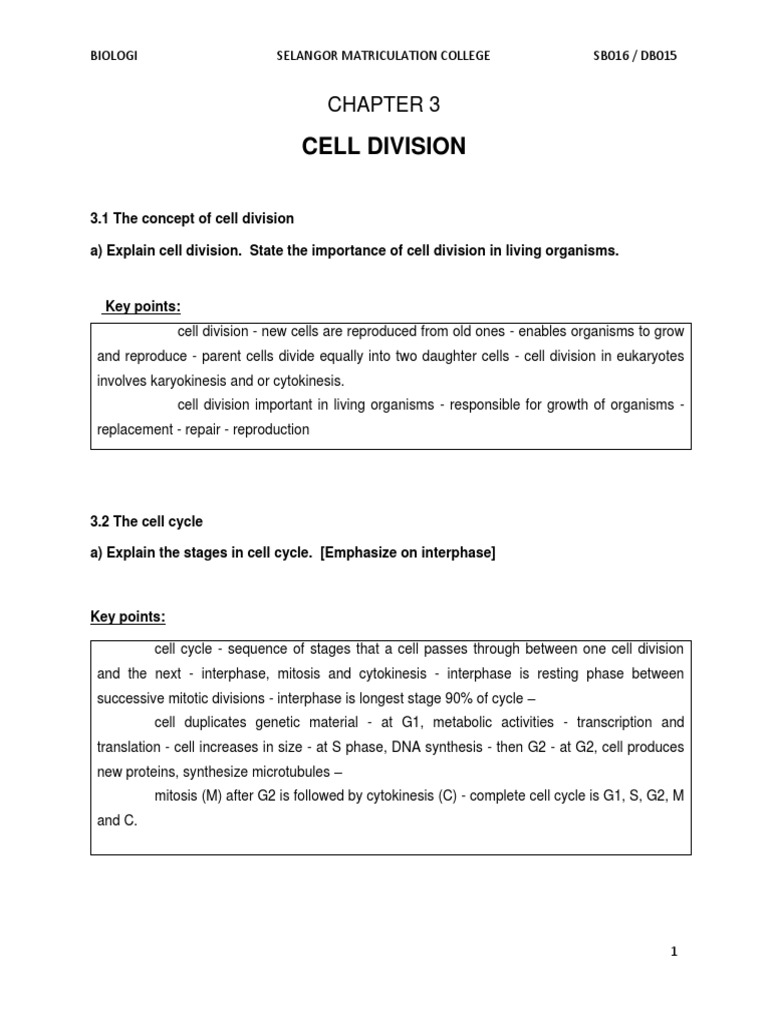 Chapter 3 Cell Division | PDF | Mitosis | Meiosis