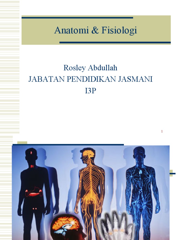 Anatomi & Fisiologi Tubuh Manusia | PDF | Kesehatan Holistik