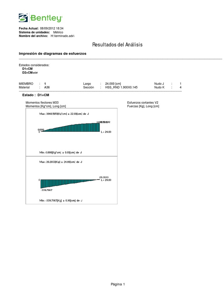 Reporte de RAM Advanse | PDF | Cantidad | Ingeniería de Edificación