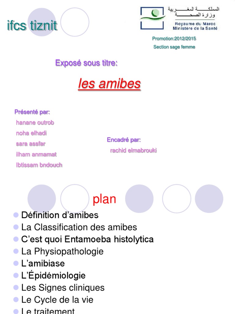 Classification et traitement des amibes | PDF | Maladies et troubles ...