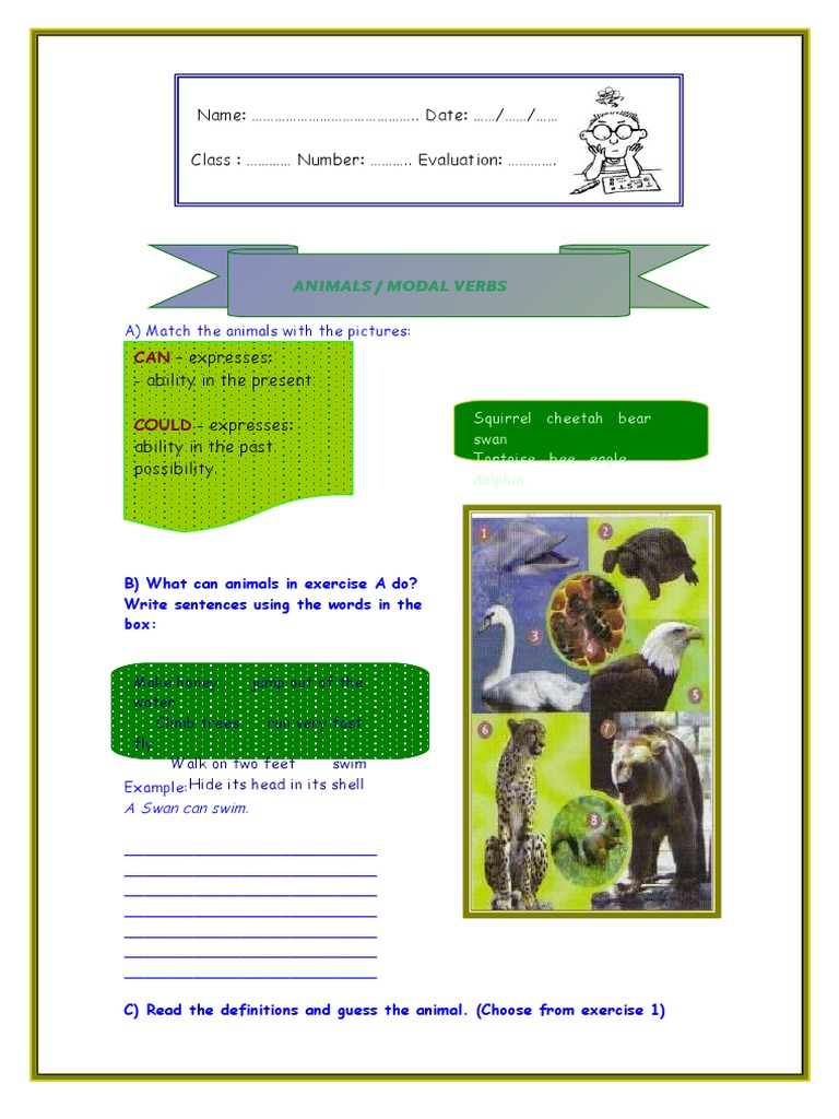 Animals Modal Verbs | PDF | Language Arts & Discipline | Foreign ...