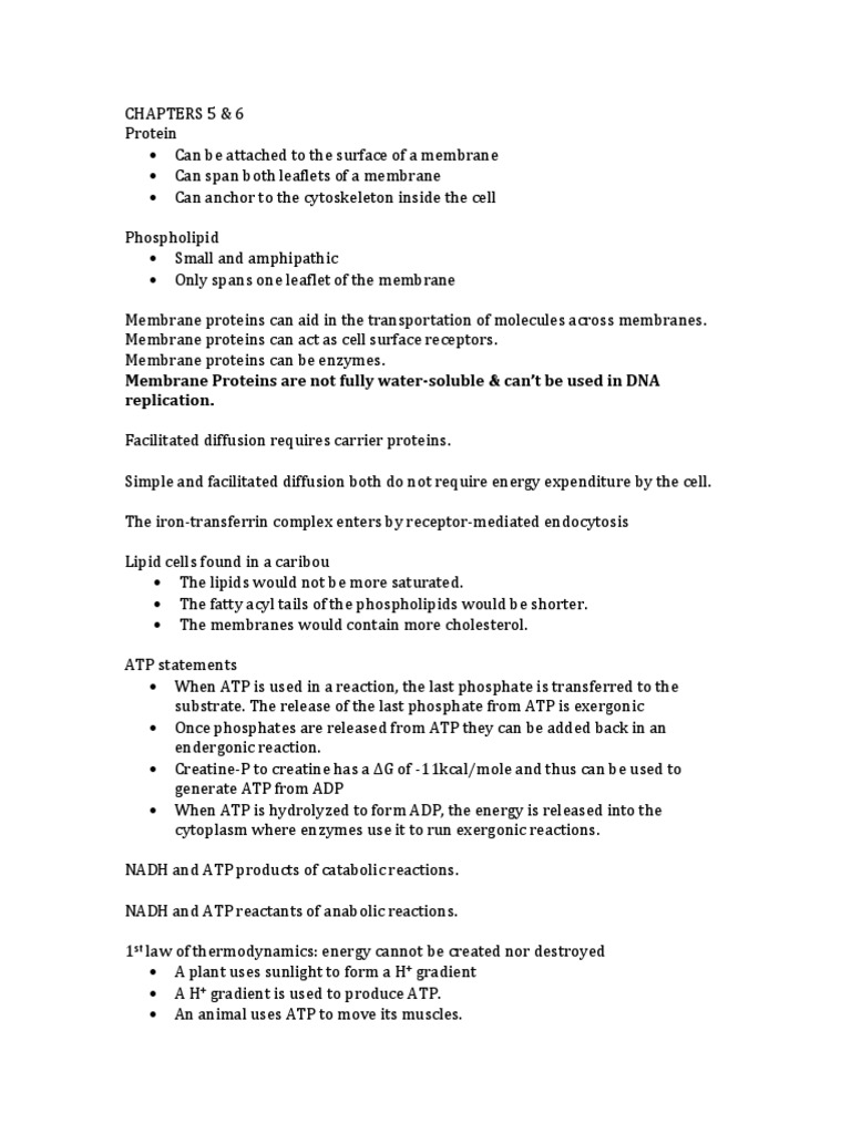 Chapters 5,6,7,&8 Quizes | PDF | Cellular Respiration | Adenosine ...