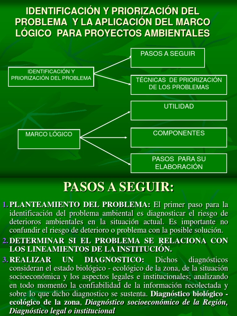 PROYECTOS AMBIENTALES