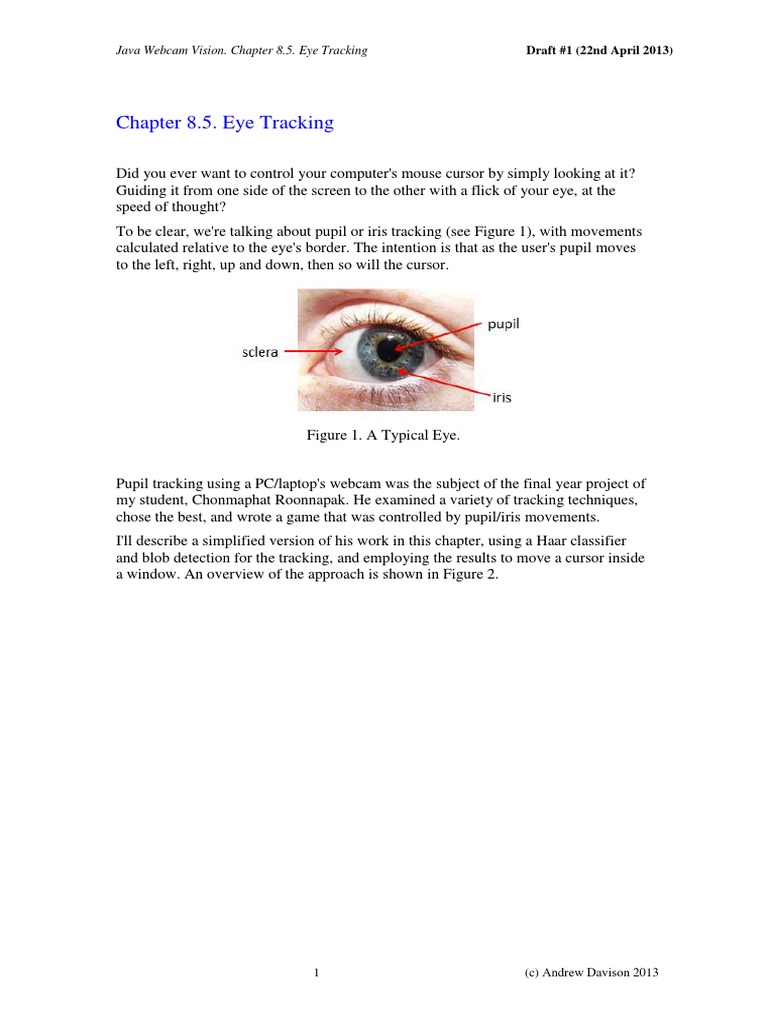 Eye Tracking Using Pupil and Iris Movements to Control a Computer Mouse ...