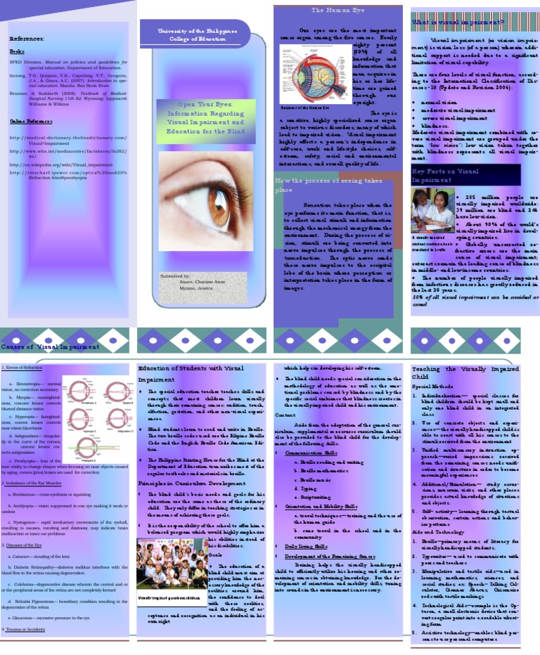 Brochure on Visual Impairment | Visual Impairment | Visual Perception
