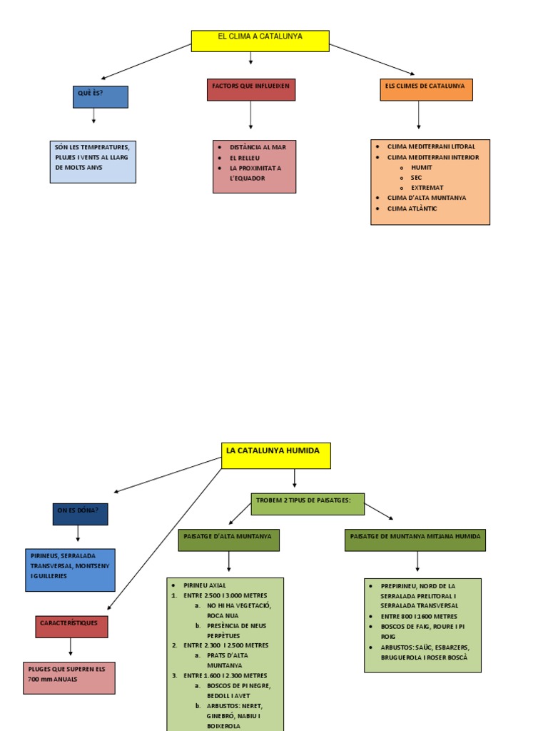 Esquema Tema 8 | PDF