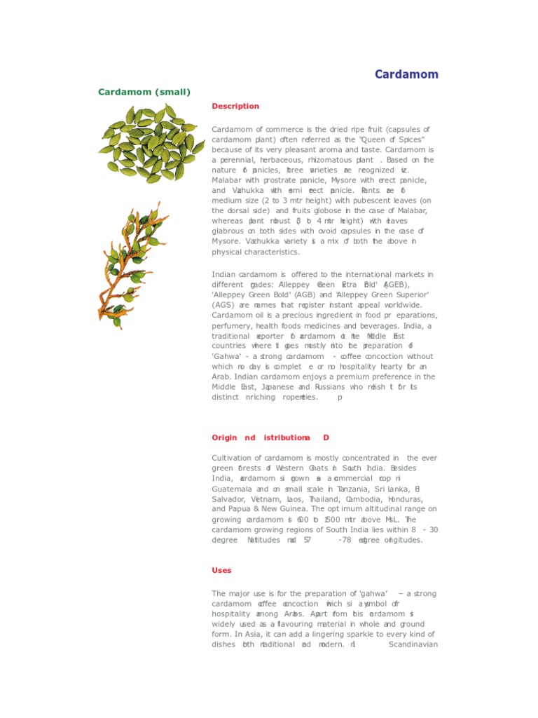 Cardamom | PDF | Languages Of India | Spice
