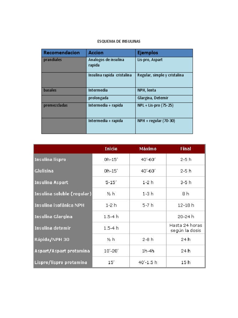Esquema de insulinas y antidiabéticos orales | PDF | Inhibidor de la enzima | Tratamientos médicos