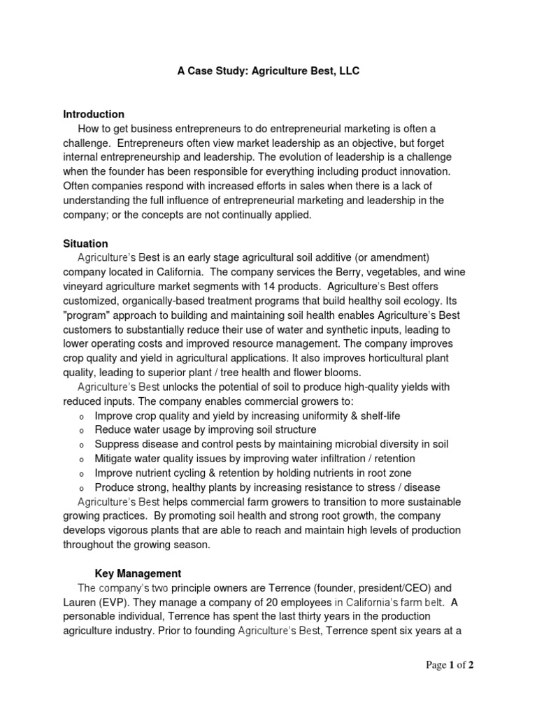 Marketing Entrepreneurship Case Study | PDF | Entrepreneurship ...