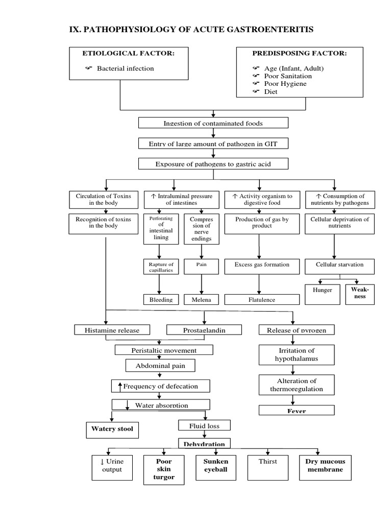 Pathophysiology of Acute Gastroenteritis | PDF