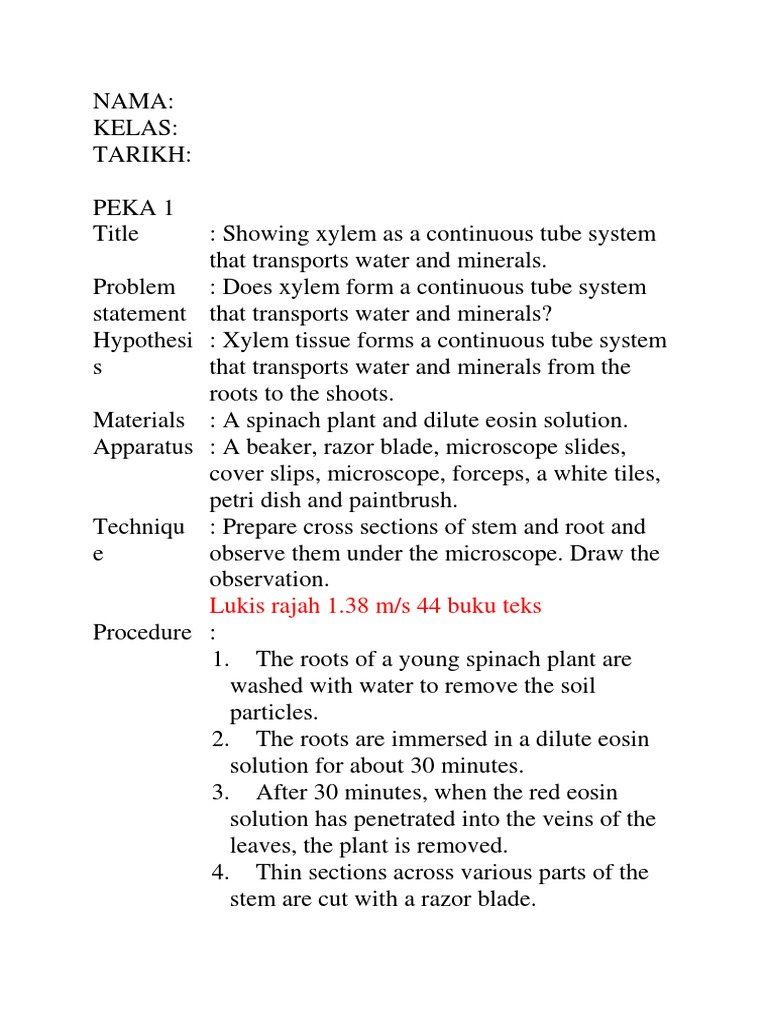 Peka 1 | PDF | Leaf | Plant Stem