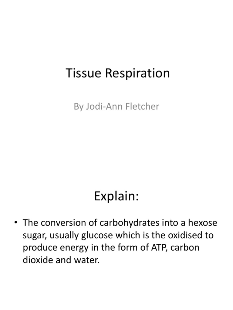 Tissue Respiration | PDF | Cellular Respiration | Adenosine Triphosphate
