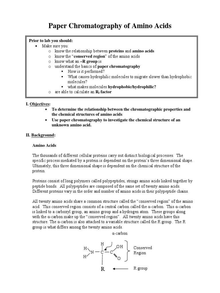 Paper Chromatography | PDF | Peptide | Proteins