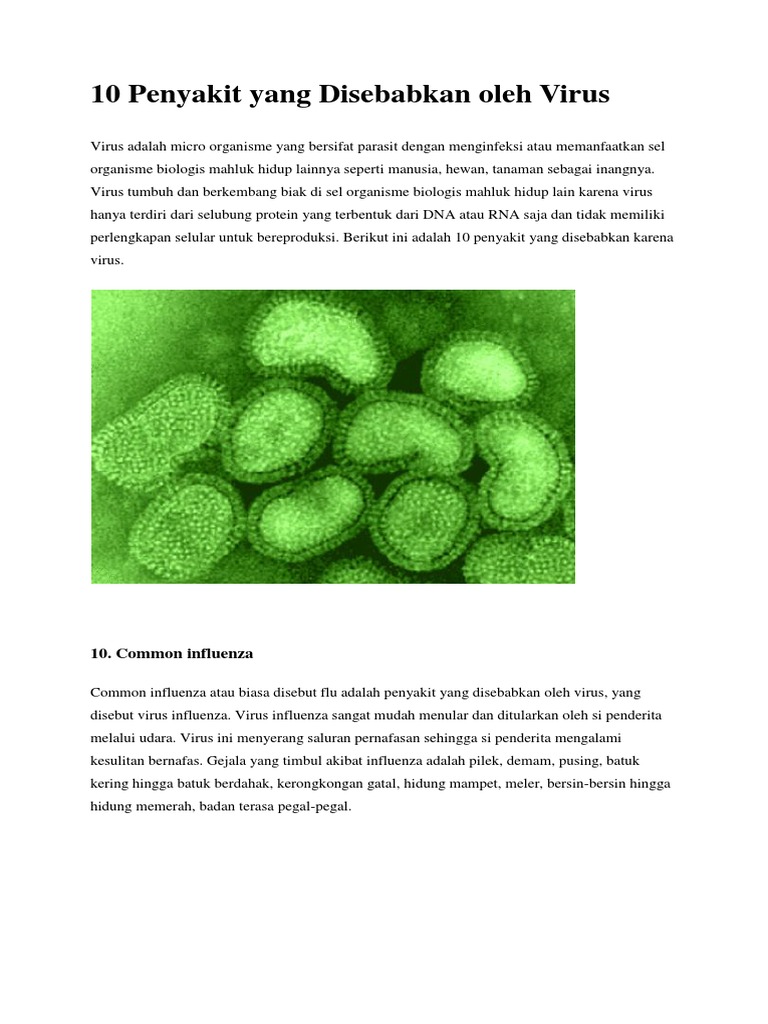 10 Penyakit Yang Disebabkan Oleh Virus | PDF 10 Penyakit Yang Disebabkan Oleh Virus | PDF