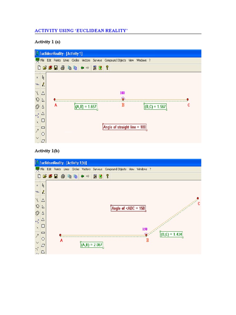 Activity Using Euclide | PDF