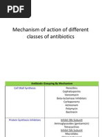 Antibiotic Worksheet | PDF | Beta Lactamase | Antibiotics