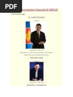 ASEAN Organizational Structure | PDF | Internal Audit | Economies