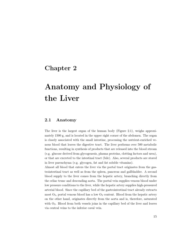 Liver Anatomy and Physiology | PDF | Liver | Vein