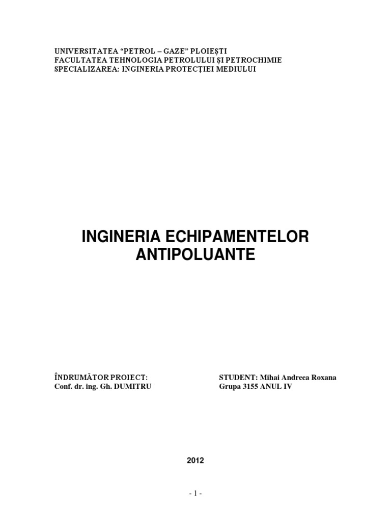 Ieap Proiect Roxana | PDF