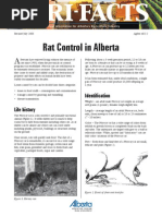 Rodent Checklist | PDF | Disinfectant | Rodent
