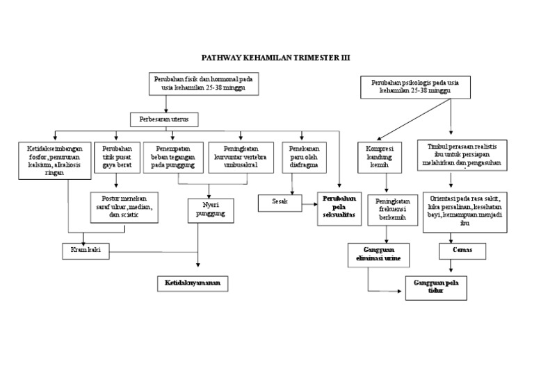 Pathway Antenatal | PDF
