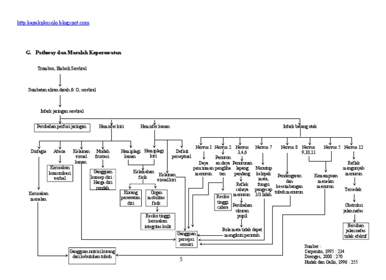Pathway Stroke | PDF