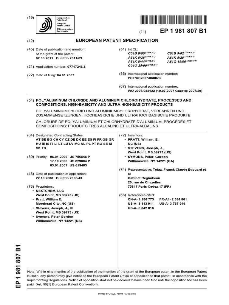 High-Basicity PAC Production Costs | PDF | Hydroxide | Cathode