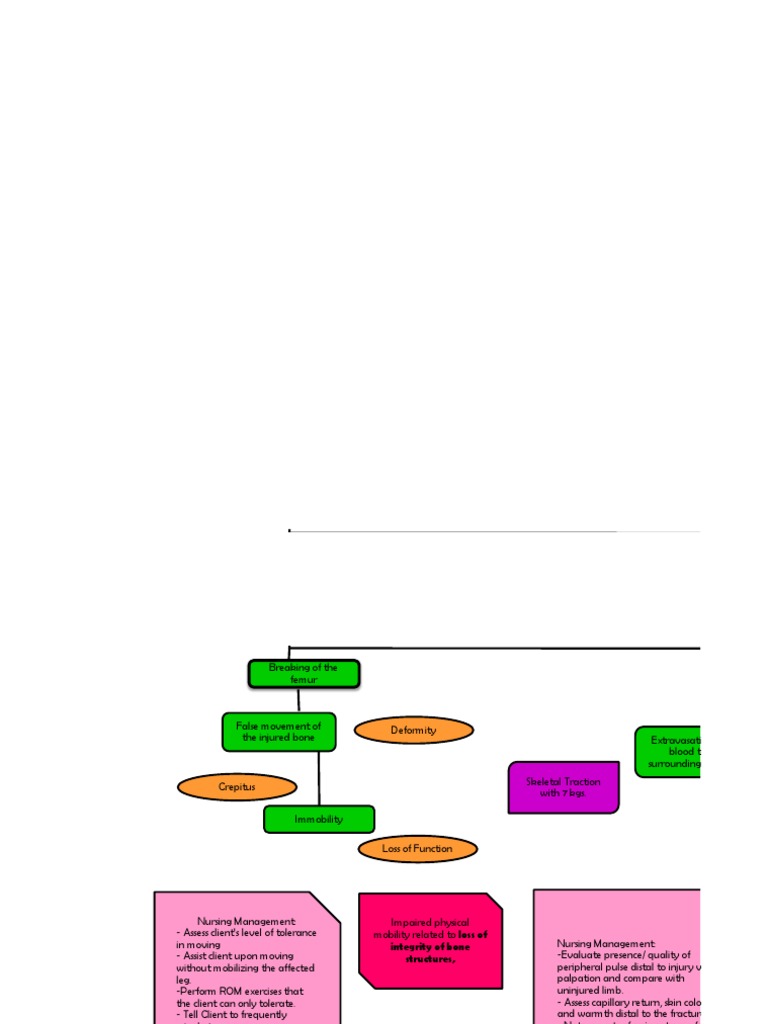 Patho On Fracture | PDF