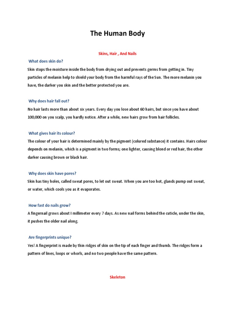 The Human Body | PDF | Blood | Lung