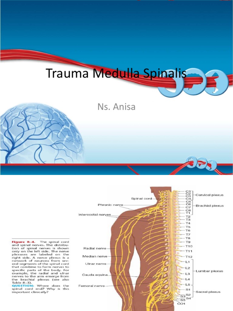 Trauma Medula Spinalis - Perumperindo.co.id