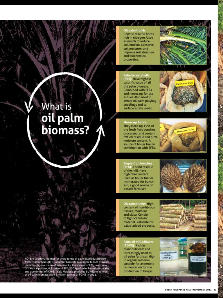 Oil Palm Biomass and Its Uses | PDF