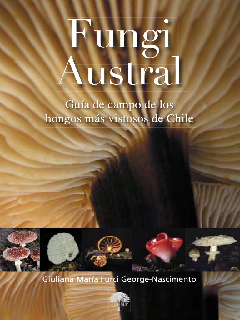 Fungi Austral - Guia de Campo de Los Hongos Mas Vistosos de Chile | PDF