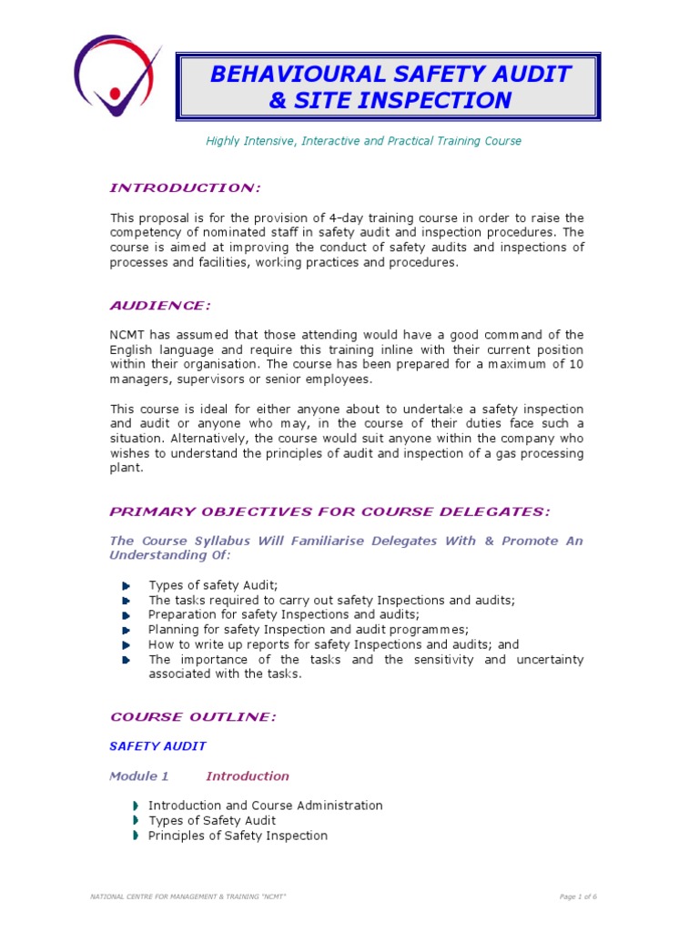 02 Behavioural Safety Audit Site Inspection NCMT | PDF | Nondestructive ...