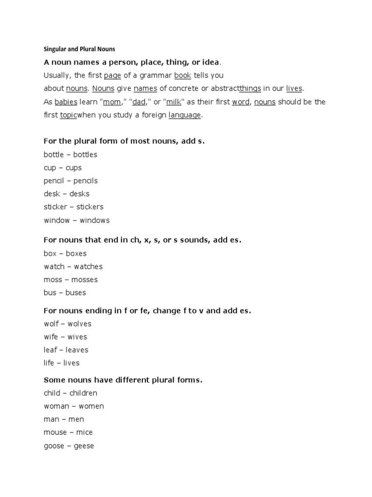 Singular and Plural Nouns Guide | PDF