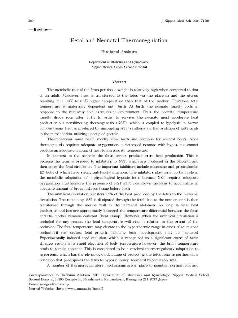 Fetal and Neonatal Temperature Regulation | PDF | Fetus | Adipose Tissue