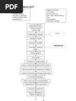Stroke Pathophysiology | Stroke | Ischemia