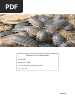 Praktische Economie 2021 M4 Havo Antwoorden | PDF