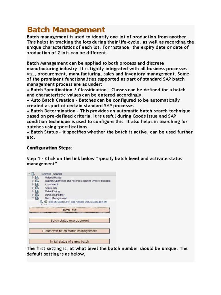 Batch Management: Configuration Steps | PDF | Business | Computing