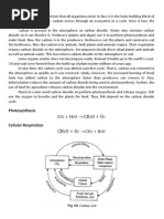 Ap Biology Review One Pagers | PDF