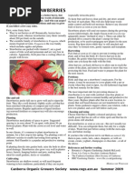 LSU-Ag Planting Guide | PDF | Vegetables | Fertilizer