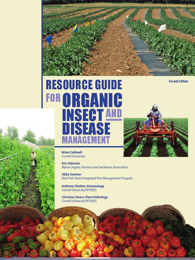 Crop Rotation On Organic Farms | PDF | Organic Farming | Onion
